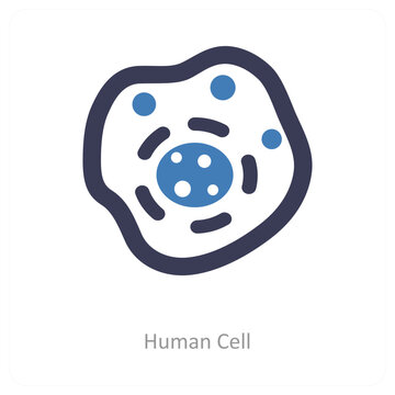 Human Cell Vector Images – Browse 158,923 Stock Photos, Vectors, and ...