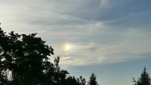"Sun Dog" Images – Parcourir 2,747 le catalogue de photos, vecteurs et ...
