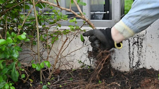 Precursor Images – Browse 4,489 Stock Photos, Vectors, and Video ...