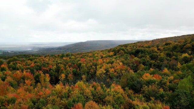 "Niagara Escarpment" Images – Browse 863 Stock Photos, Vectors, and ...