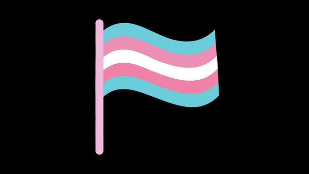 "Trans Pride" Images – Parcourir 401 le catalogue de photos, vecteurs ...