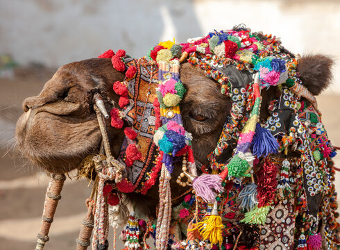 photoff photos, images, assets | Adobe Stock