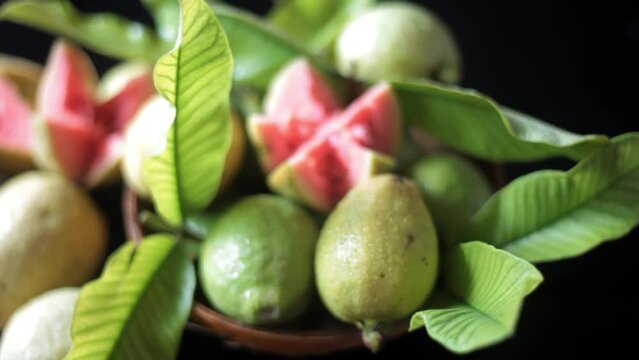 "Common Guava" Images – Browse 8,267 Stock Photos, Vectors, and Video ...