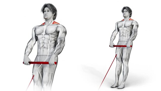 263 Images – Browse 832 Stock Photos, Vectors, and Video | Adobe Stock