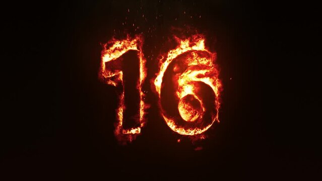 "Number 16" Images – Browse 362,815 Stock Photos, Vectors, and Video ...