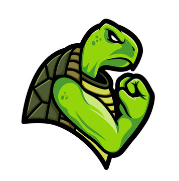 Vector Angry Turtle