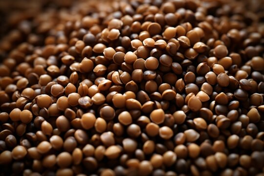 "Pulses Mix" Images – Browse 52 Stock Photos, Vectors, and Video ...