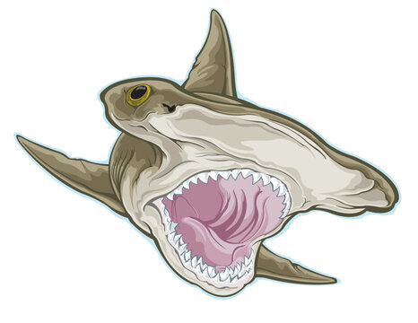 Hammerhead Shark Vector Images – Browse 3,576 Stock Photos, Vectors ...