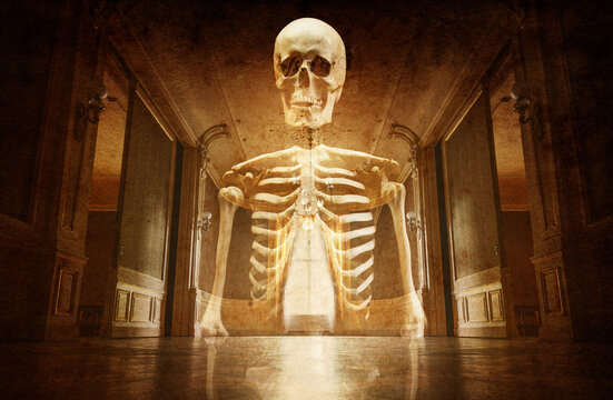 «Tryfonov» — фотографии, изображения, ресурсы | Adobe Stock