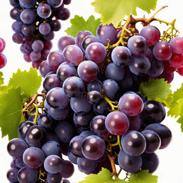 Afroza photos, images, assets | Adobe Stock