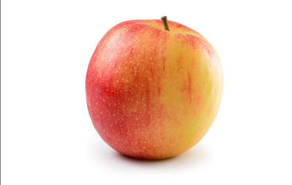 Scifresh Images – Browse 45 Stock Photos, Vectors, and Video | Adobe Stock