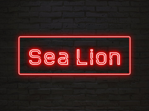 「クロアシカ」の写真素材 | 6,175件の無料イラスト画像 | Adobe Stock