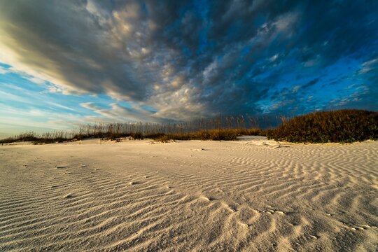 「Floria」の写真素材 | 1,133件の無料イラスト画像 | Adobe Stock