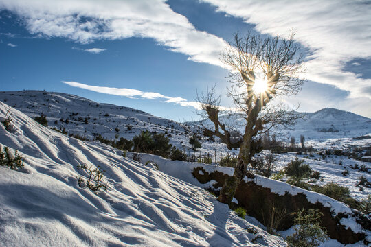 Jijel Images – Browse 868 Stock Photos, Vectors, and Video | Adobe Stock