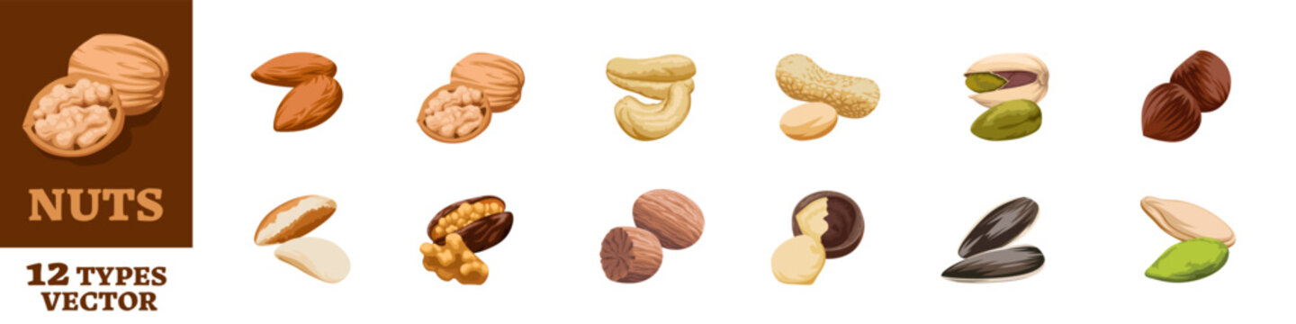 "Nuts Icon" Images – Browse 96 Stock Photos, Vectors, and Video | Adobe ...