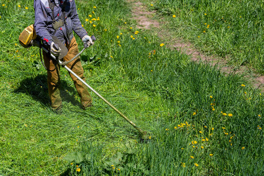 "Weed Eater"-Bilder: Stock-Fotos & -Videos. | Adobe Stock