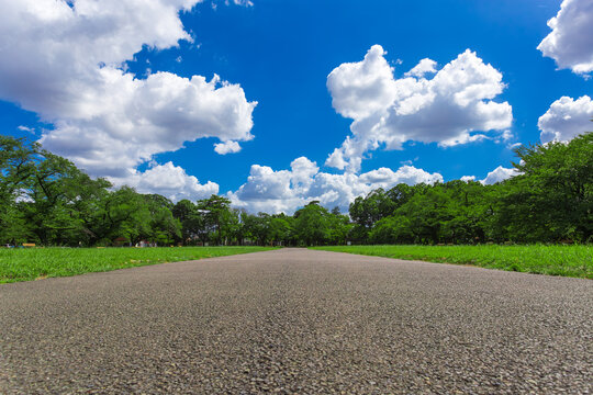 Cheilosis Bilder – Durchsuchen 24,833 Archivfotos, Vektorgrafiken und ...