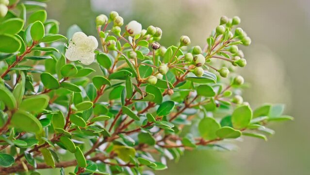 Temu 이미지 – 찾아보기 348 스톡 사진, 벡터 및 비디오 | Adobe Stock