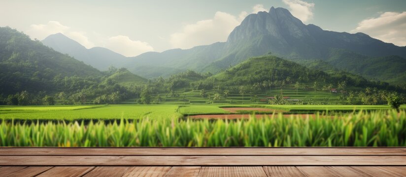 Tabletop Rice Field Backdrop Images – Browse 390 Stock Photos, Vectors ...