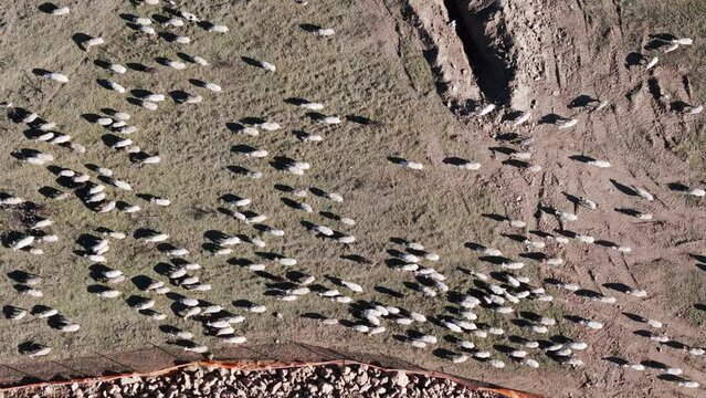 "Mutton Curry" Images – Browse 928 Stock Photos, Vectors, and Video | Adobe Stock