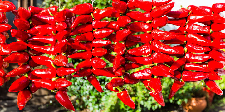 "Piment Rouge" Images – Browse 523 Stock Photos, Vectors, and Video ...