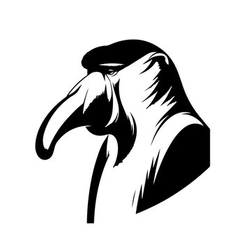 "Proboscis Monkey" Images – Browse 4,669 Stock Photos, Vectors, and ...