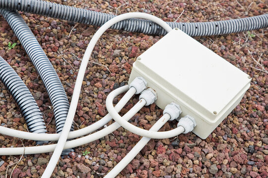 รูปภาพCorriboard – เลือกดูภาพถ่ายสต็อก เวกเตอร์ และวิดีโอ649 | Adobe Stock