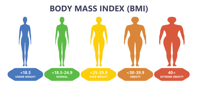 Body Mass Index Chart Images – Browse 1,051 Stock Photos, Vectors, and ...