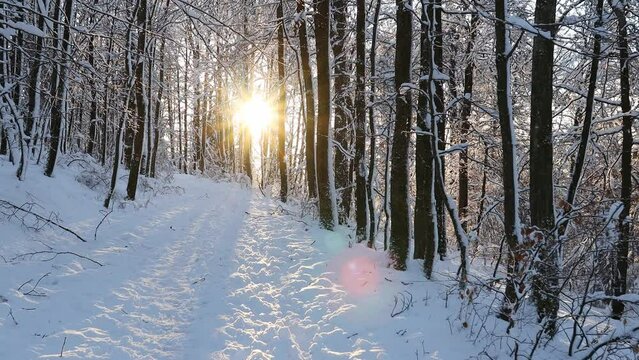 "Snow Path" Images – Browse 434 Stock Photos, Vectors, and Video ...