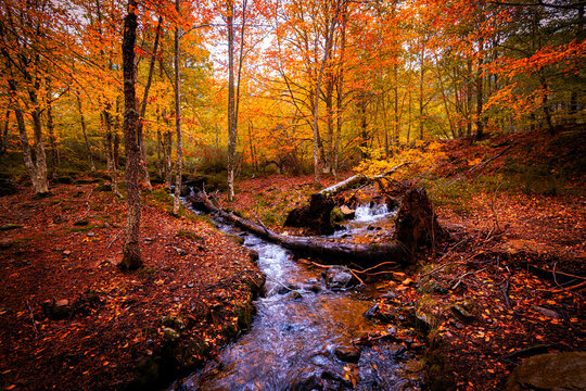 Talocher Bilder – Durchsuchen 3,543 Archivfotos, Vektorgrafiken und ...