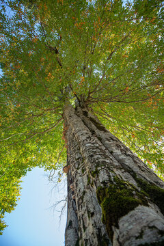 Landscapes stock photos, royalty-free images, vectors, video | Adobe Stock