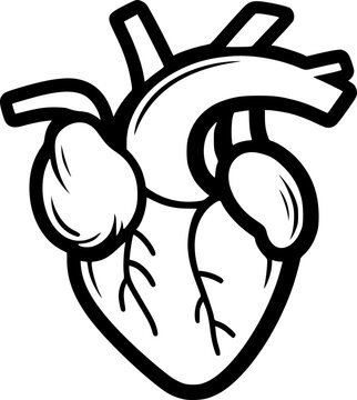 Anatomical Heart Outline Images – Browse 2,870 Stock Photos, Vectors ...