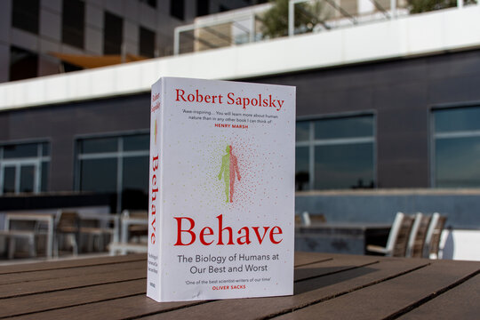 "Robert Bilder – Durchsuchen 9,494 Archivfotos, Vektorgrafiken und ...