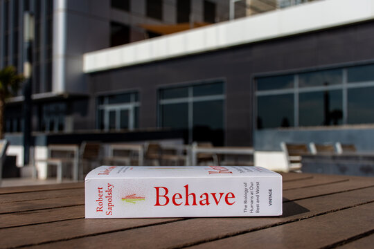 "Robert Bilder – Durchsuchen 9,494 Archivfotos, Vektorgrafiken und ...