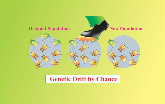 "Genetic Drift" Images – Browse 414 Stock Photos, Vectors, and Video ...