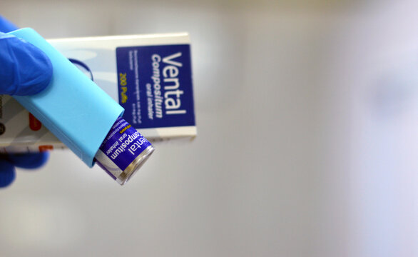 รูปภาพBecotide – เลือกดูภาพถ่ายสต็อก เวกเตอร์ และวิดีโอ228 | Adobe Stock