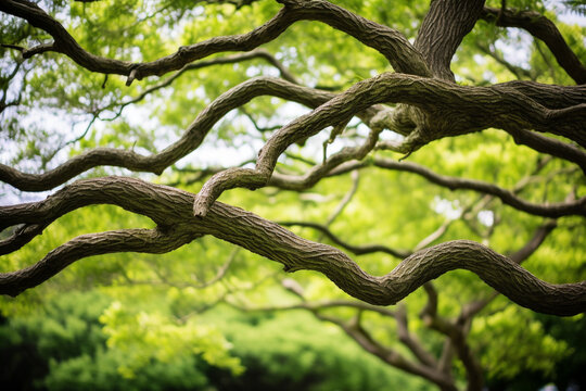 รูปภาพWithstand – เลือกดูภาพถ่ายสต็อก เวกเตอร์ และวิดีโอ48,976 | Adobe ...