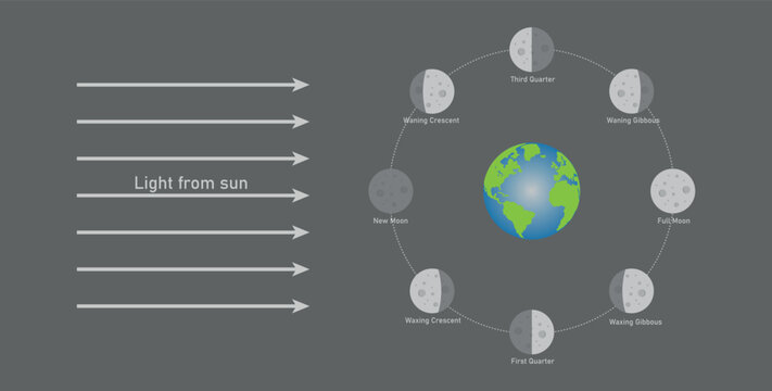 "Third Quarter" Images – Browse 1,535 Stock Photos, Vectors, and Video ...