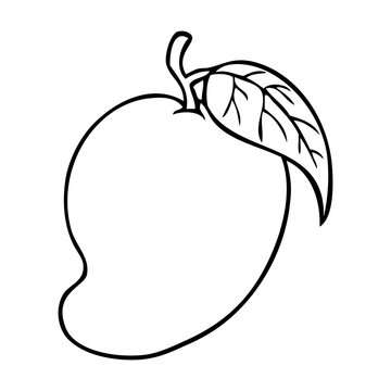 Mango Line Drawing Images – Browse 8,192 Stock Photos, Vectors, and ...
