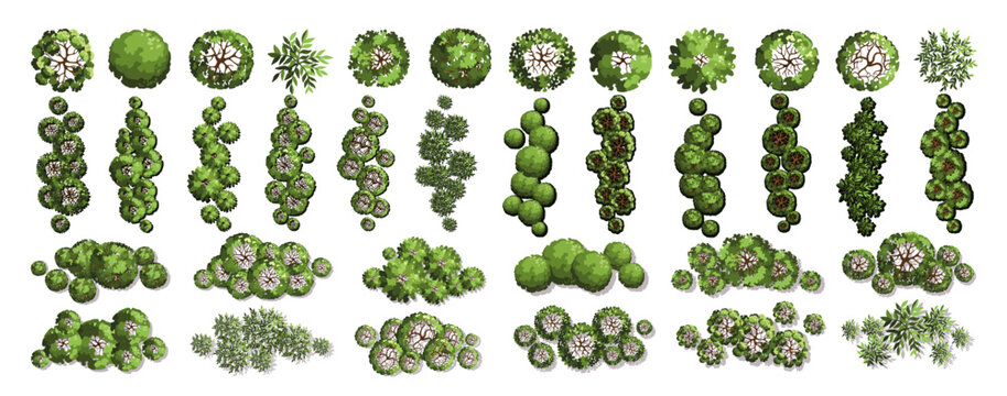 Bushes Vector Images – Browse 324,996 Stock Photos, Vectors, and Video ...