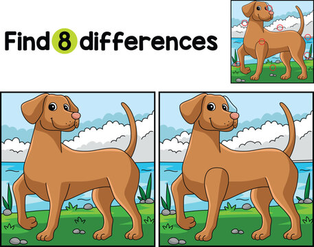 "Find The Differences" Images – Browse 326 Stock Photos, Vectors, and ...