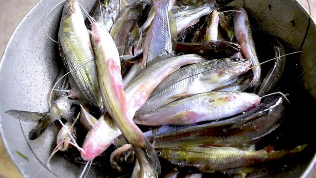 Tengri Bilder – Durchsuchen 1,212 Archivfotos, Vektorgrafiken und ...