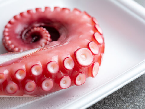 Octopus Legs"」の写真素材 | 79件の無料イラスト画像 | Adobe Stock