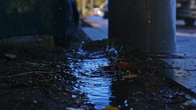 "Water Puddle" Images – Browse 624 Stock Photos, Vectors, and Video ...
