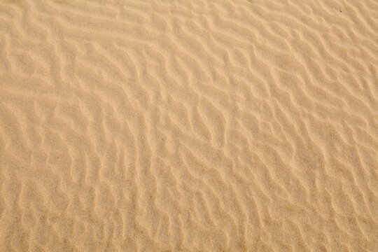 "Desert Texture" Bilder – Durchsuchen 589 Archivfotos, Vektorgrafiken ...