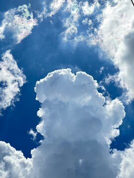 11Am Images – Browse 73 Stock Photos, Vectors, and Video | Adobe Stock