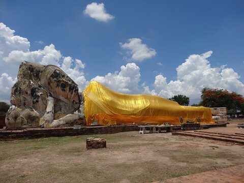 ワット Images – Browse 14,607 Stock Photos, Vectors, and Video | Adobe Stock