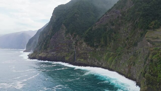 Poiso Images – Browse 197 Stock Photos, Vectors, and Video | Adobe Stock