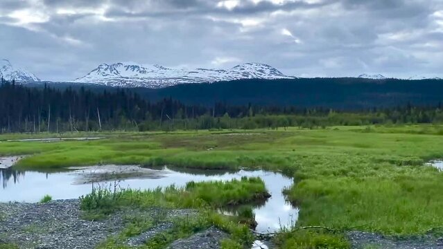 "Ghost Forest" Images – Browse 634 Stock Photos, Vectors, and Video ...