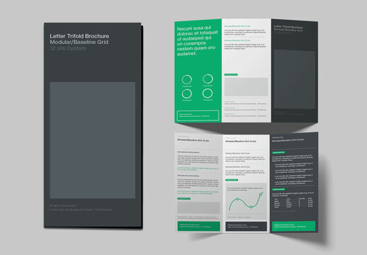 Baselines Bilder – Durchsuchen 3,387 Archivfotos, Vektorgrafiken und ...